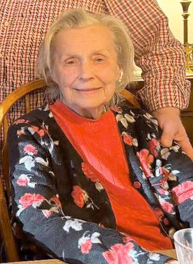 Search continues for Portage woman missing from Munster Township | News ...